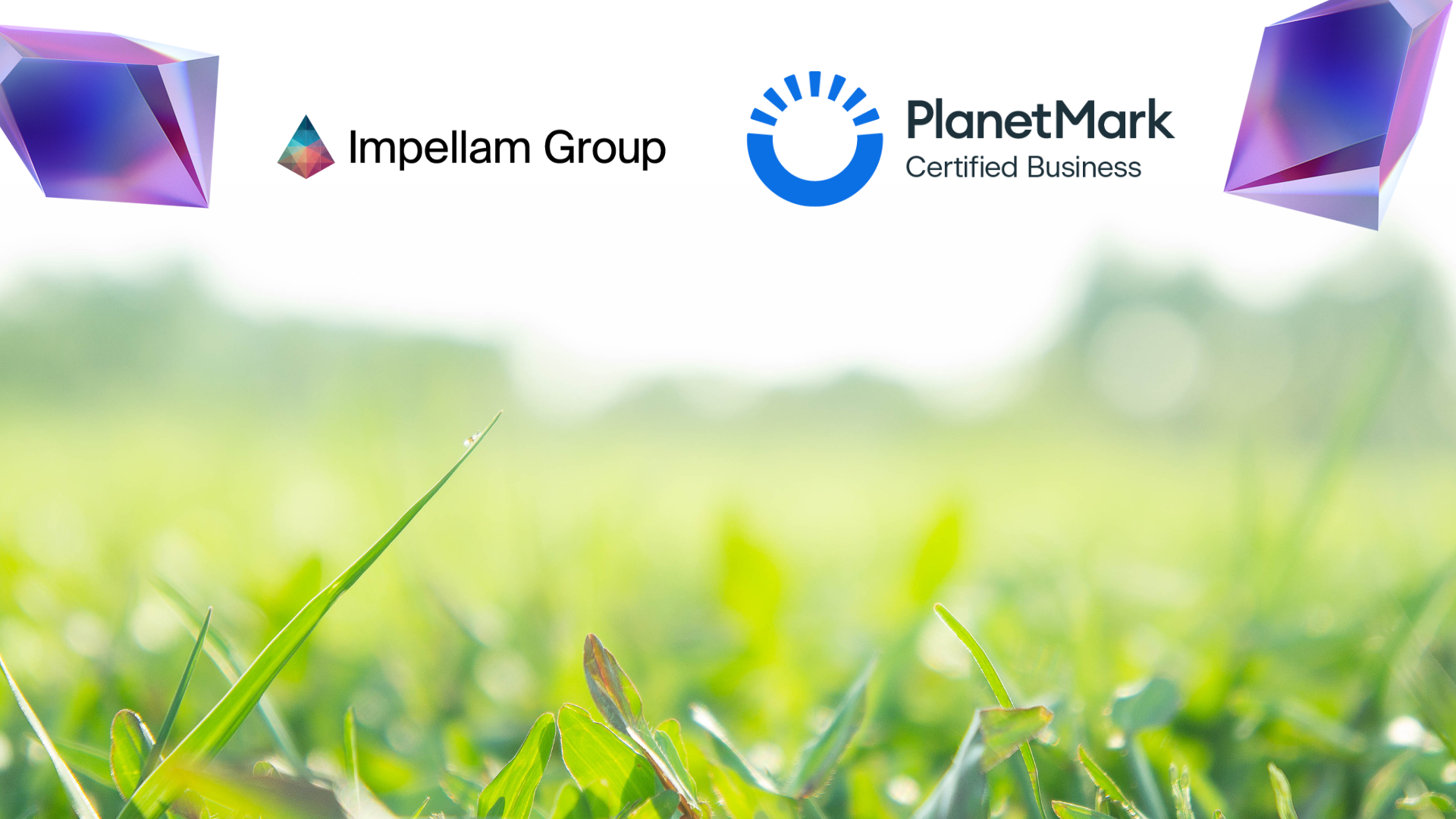 Impellam Group Planet Mark Business Certified globally | Impellam Group