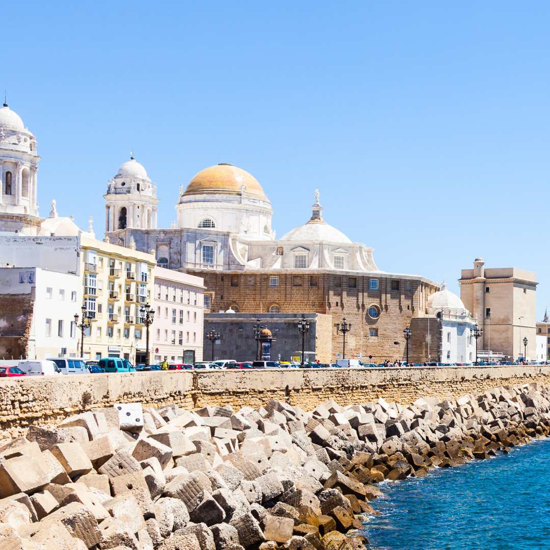 Contact Us · Xcede Group