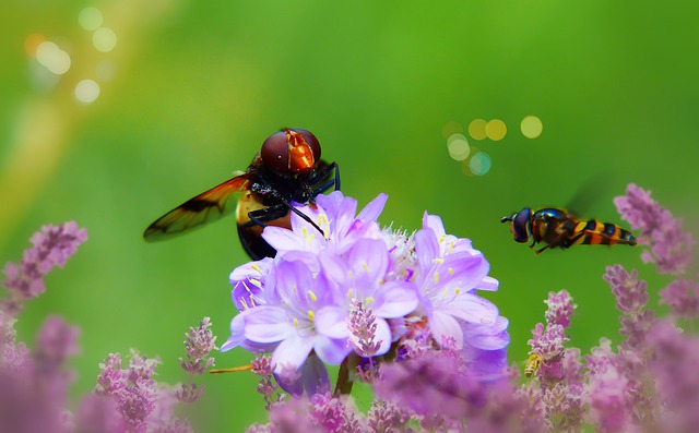 Life Science Jobs | Hyper Recruitment Solutions