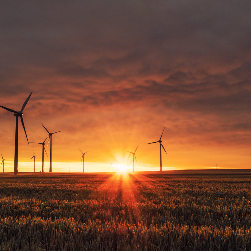 Global economies called to increase wind production by 21% by 2030 to ...