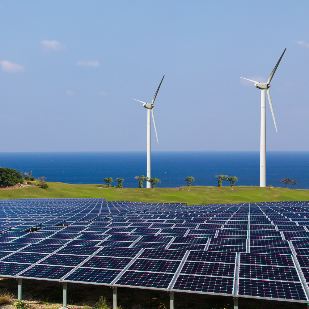 Reporting on Renewables: Rise in low-carbon energy use as clean power surges in 2024 | Carbon60