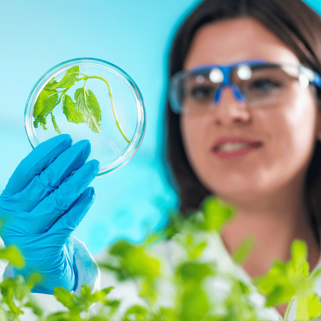 STEM Professions: Jobs as a Cell Biologist | Science, Engineering ...