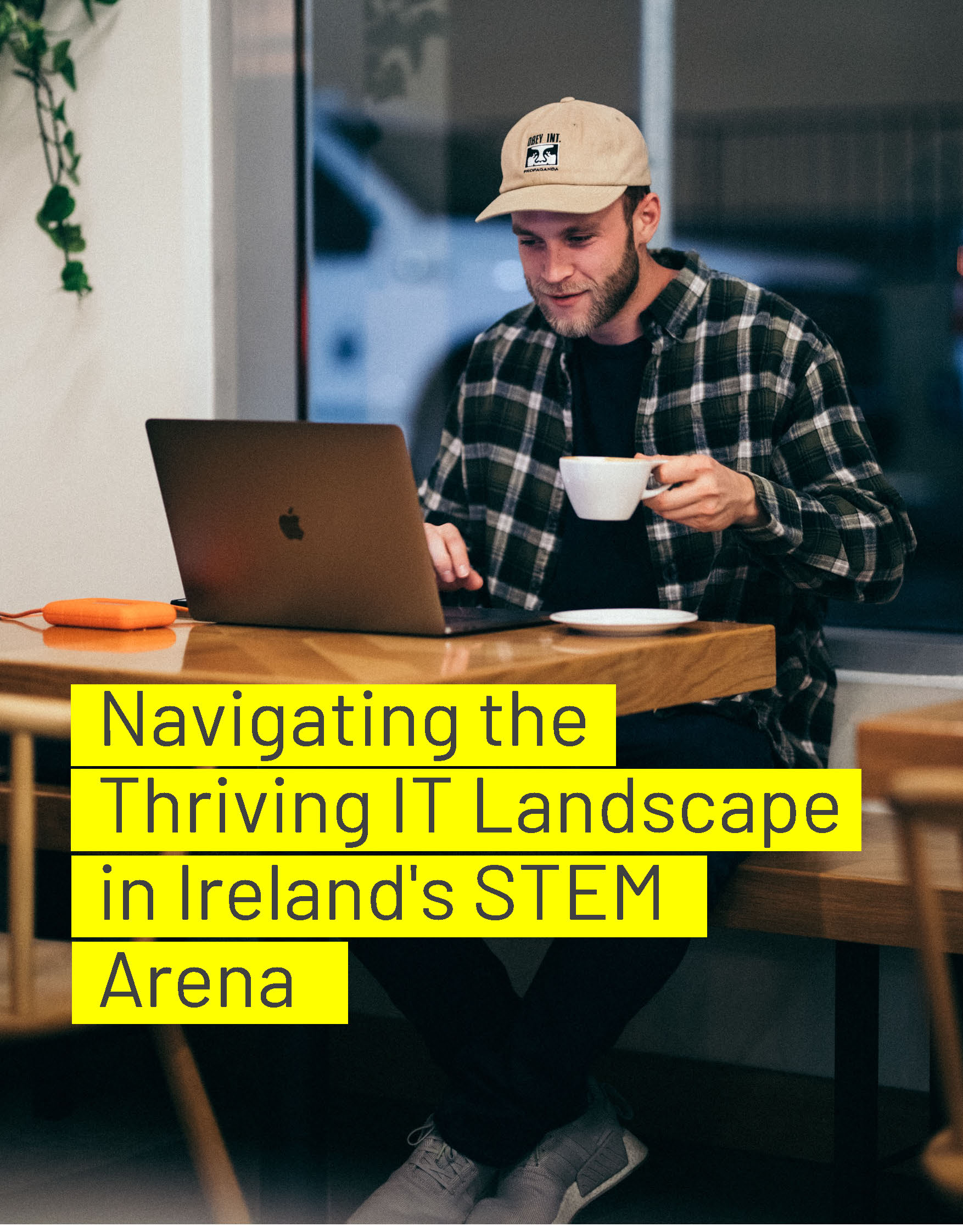 Mastering the IT Ecosystem in Ireland: Revealing High-Demand Skills and ...