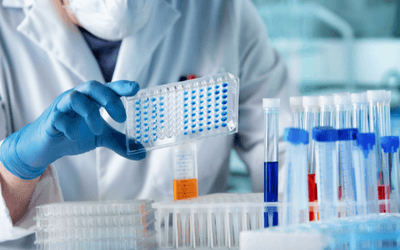 How To Get Into the FMCG Industry: Top Skills FMCG Needs Now | Science ...