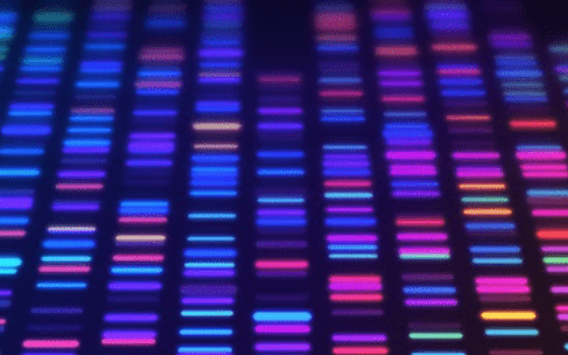 How to Build a Competitive Talent Attraction Strategy | Science ...